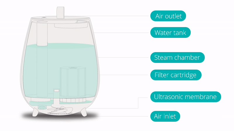 Consejos sobre humidificadores | Duux | Diseñados para mejorar el aire.
